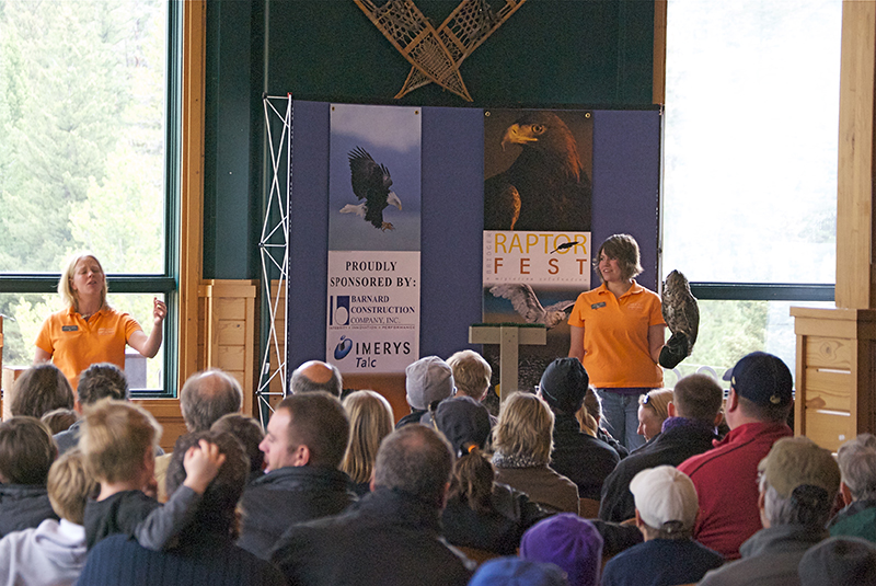 Bridger Raptor Festival